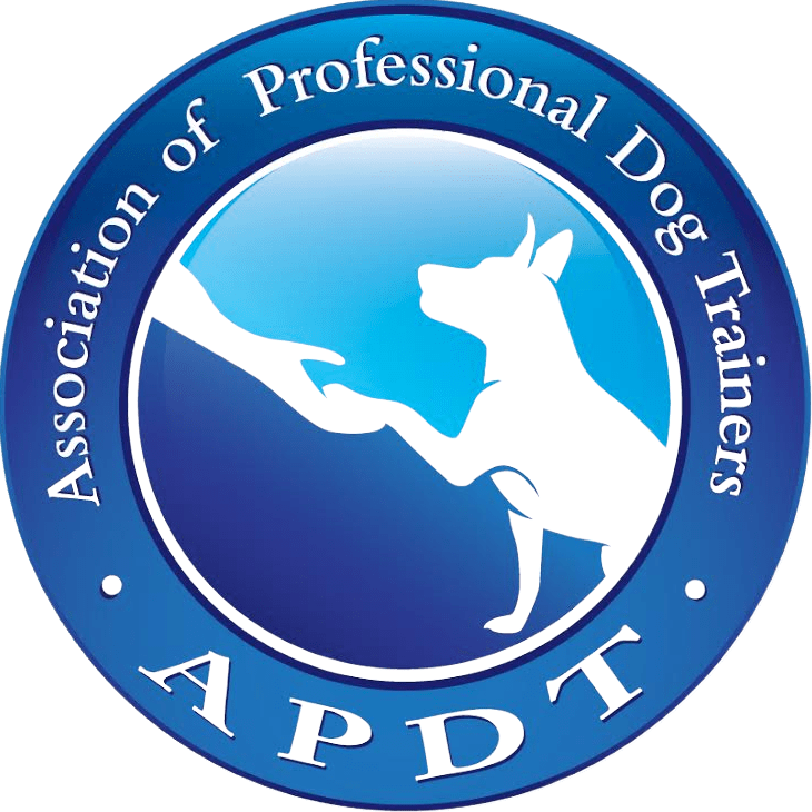 Family Dog Training Bethesda MD - Rachel Rollins Dog Trainer